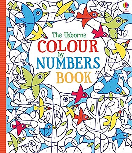 Colour by Numbers Book: NILL: 9781409536451: Amazon.com: Books