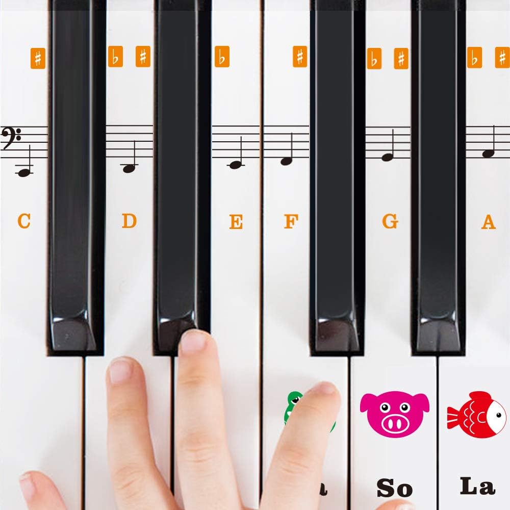 LEKATO Piano Stickers for Learning Piano or Keyboard -Transparent 37/49 ...