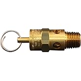 Milton S-1090-150 1/4" MNPT ASME Safety Valve - 150 PSI Pop off ...