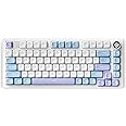 Amazon.com: LEOBOG Hi75 Keyboard, 75% Wired Gaming Keyboard with Mode ...
