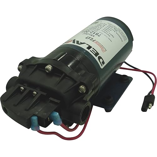 Delavan Pumps Demand Style Diaphragm Sprayer Pump, 2 GPM, 12 Volts ...