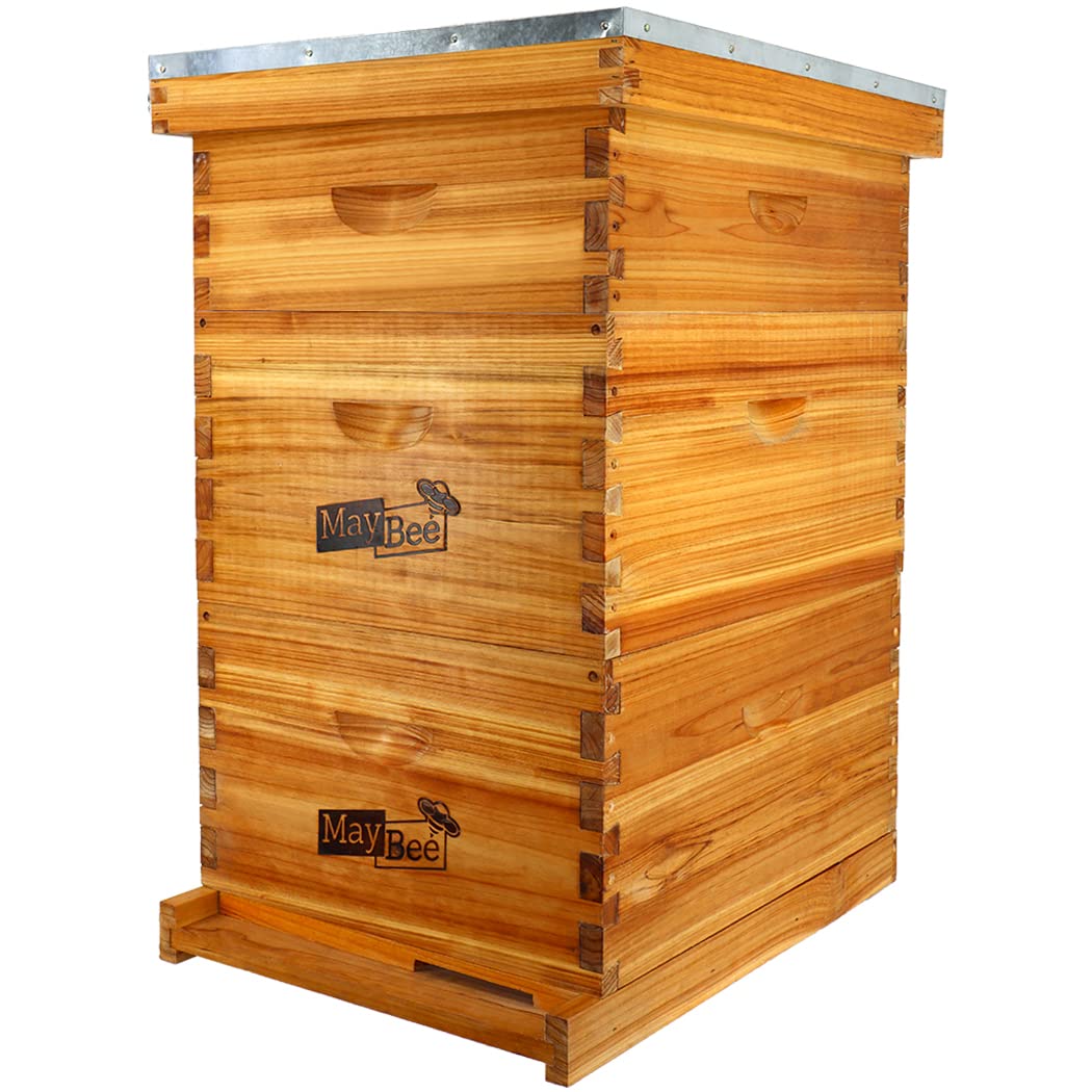 Mua 10-Frame Langstroth Beehive Dipped in 100% Beeswax, Complete Bee ...
