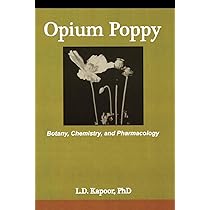 Chemical structures of the major opium alkaloids