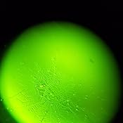 Babystart FertilFocus Ovulation Microscope: Amazon.co.uk: Health ...