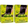 Amazon.com : Hesh Pharma Amla Hair Powder 3.5oz, 100g (Pack of 2 ...