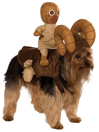 Card of the Day #3 - Bantha Rider : r/StarWarsForceArena