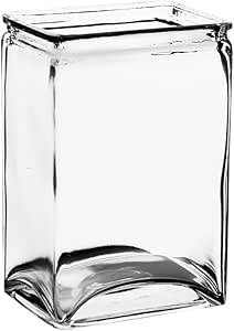 Amazon.com: Syndicate Sales 4" x 3" x 6" Rectangle Vase, Clear: Home ...
