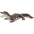 Amazon.com: Safari Ltd. Caiman Figurine - Realistic 5" Reptile Figure ...