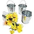 Amazon.com: Regent 4 Metal Buckets 5 inch X 5 inch Galvanized Pail with ...