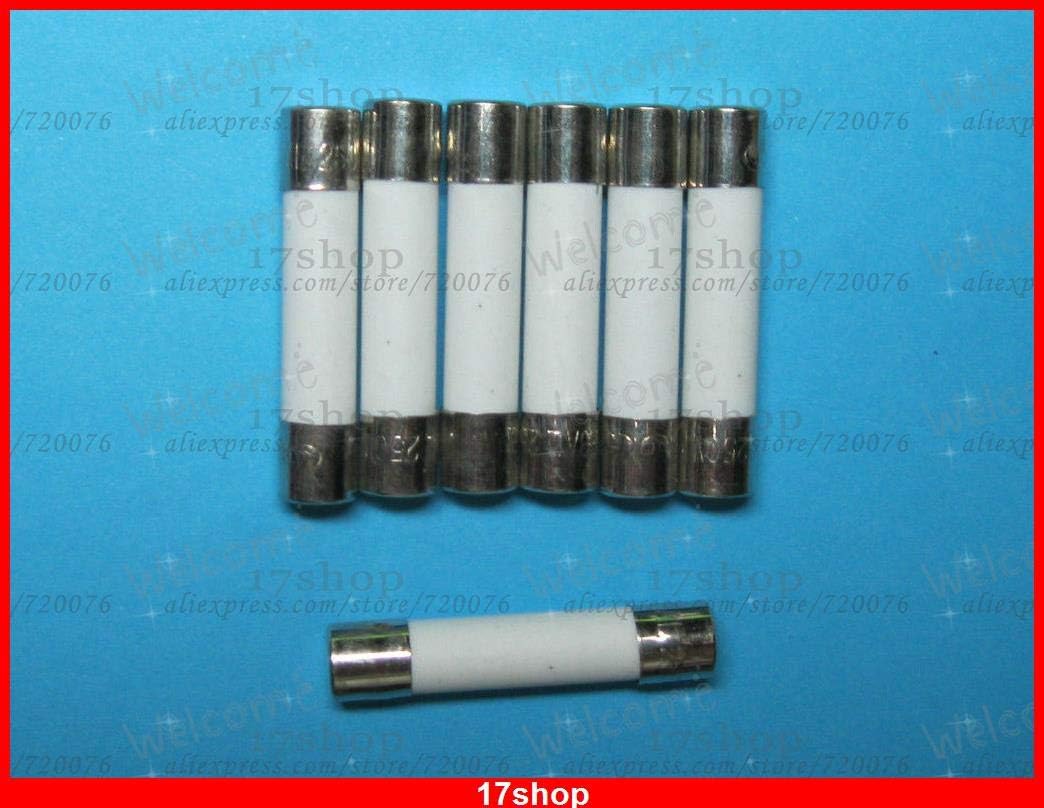 Replacement Fuse 20 Pcs Ceramic Fuse 16A 250V 6mm X 30mm Fast Blow ...