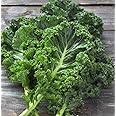 Amazon.com : White Russian Kale Seeds for Planting – Plant & Grow ...