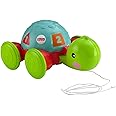 Amazon.com: Fisher-Price Pull Along Turtle : Toys & Games