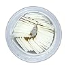 Iodine Test Strips (Pack of 100 Iodine Strips) - Sanitizer Strength ...