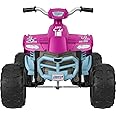 Amazon.com: Power Wheels Barbie Pink Racing ATV, 12-V Battery Powered ...