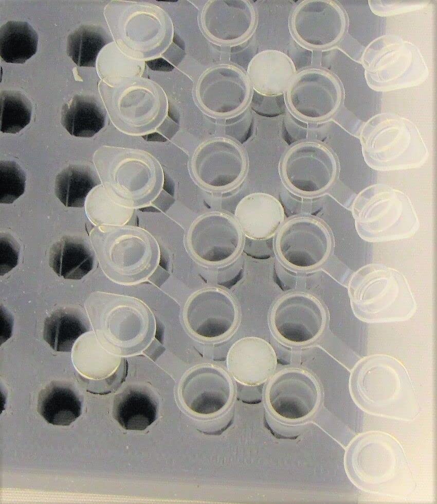 Mua Magnetic Bead Separation Separator, Stand Rack for 96 Well PCR ...