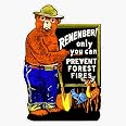 Amazon.com - Smokey The Bear only You can Prevent Forest Fires Sticker ...