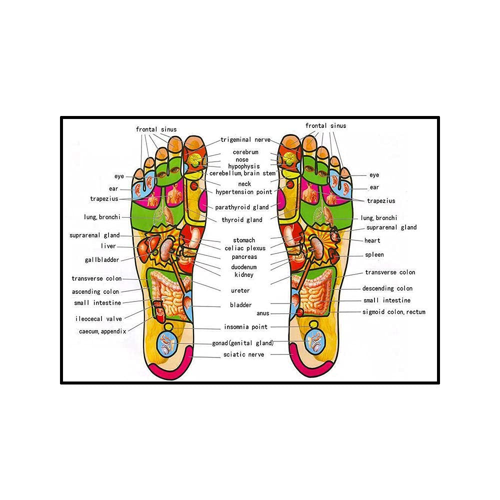 Buy Reflexology Of The Foot s Foot Acupuncture Points Chart Canvas Wall ...