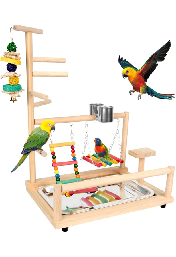 Bird Playground For Conures Cockatiel Parakeets Play Stand Gym Area ...