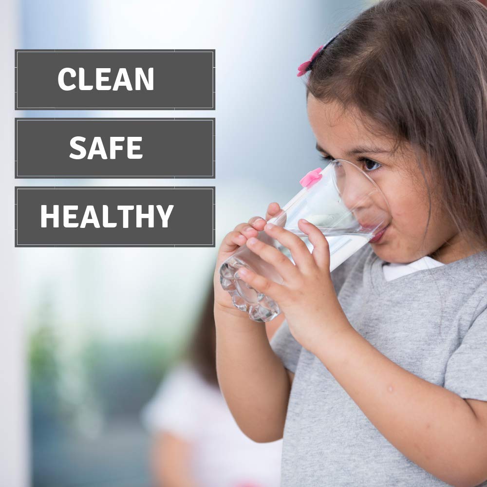 12 Month Filter Supply Atlantis Mavea Classic Bella Replacement Water ...