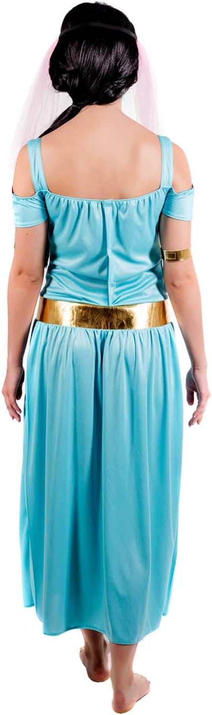 Fun Shack Womens Arabian Princess Costume Adults Harem Genie Blue Dress ...