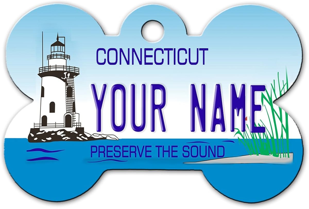 Amazon.com : BleuReign(TM Personalized Custom Name Connecticut State ...