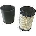 Amazon.com : GOLDEN REIGN AIR & PRE-Filter Combo Replaces for B&S ...