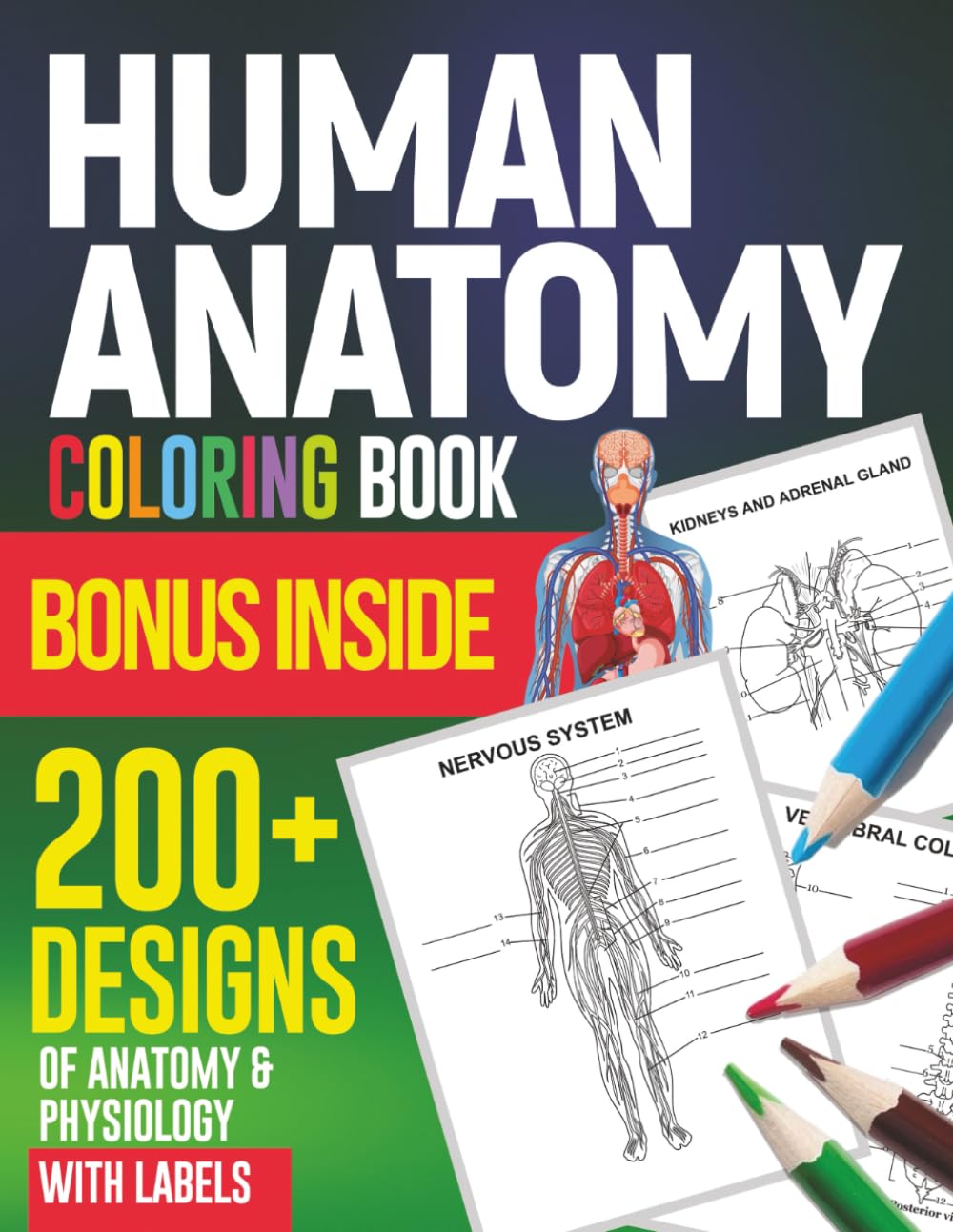 Human Anatomy Coloring Book: 200+ Designs with Labels & 150+ MCQs in ...