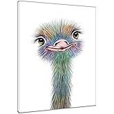 Amazon.com: HVEST Ostrich Canvas Wall Art Watercolor Cute Animal on ...