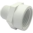 Amazon.com: LASCO 15-1635 PVC Hose Adapter with 3/4-Inch Female Hose ...