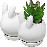 Amazon.com : Decorative Bunny Rabbit Design White Mini Ceramic Plant ...