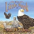 My Little Book of Bald Eagles: Hope Irvin Marston, Stephanie Mirocha ...