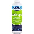 Amazon.com : BioGuard Back Up 2-1 Quart, Single, Proven Effective Algae ...
