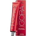 Amazon.com : IGORA ROYAL 8-0 60 ml : Beauty & Personal Care