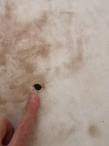 Fallow deer skin deer hide area rug natural home decor taxidermy ...