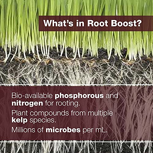 Root Boost Advanced Rooting Formula for Living Soil and White Roots ...