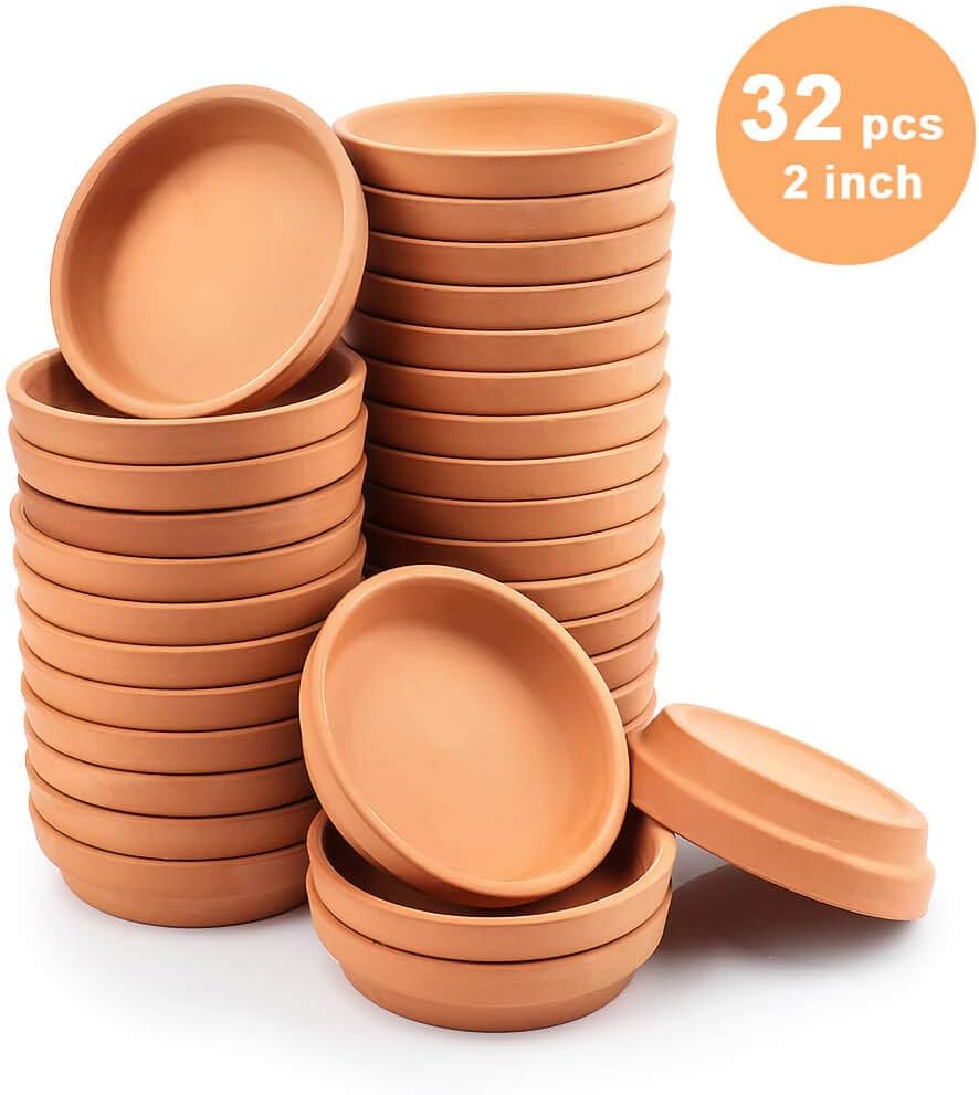 Amazon.com : 2 Inch Small Terracotta Pot Plant Saucer - 32 pcs Mini ...