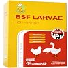 GOLDWORMS 10LBS Dried Black Solider Fly Larvae of Chicken Treats - BSF ...