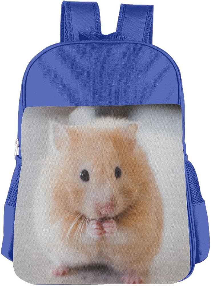 Amazon.com | Nishilongteng Unique Hamster Rodent Cute Girls And Boys ...