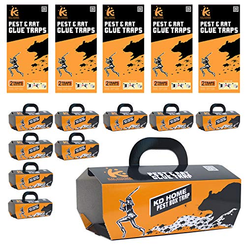 KD HOME Mouse/Rat Household Glue Traps, Professional Sticky Glue/Box ...