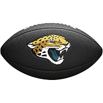 Loghi Divertenti Nfl 2024