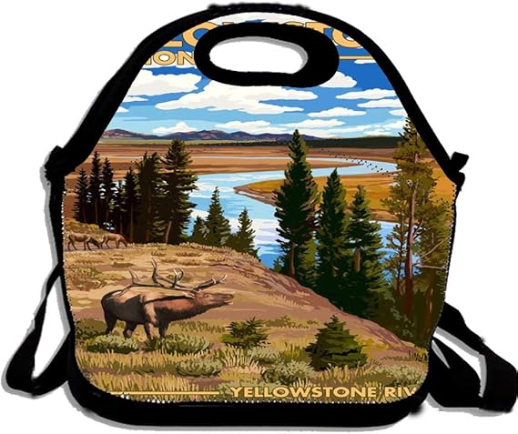 Paul Costelloe Purse Yellowstone Park | semashow.com