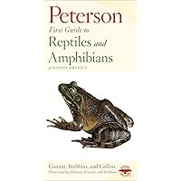 Peterson First Guide To Reptiles And Amphibians: Stebbins, Robert C ...