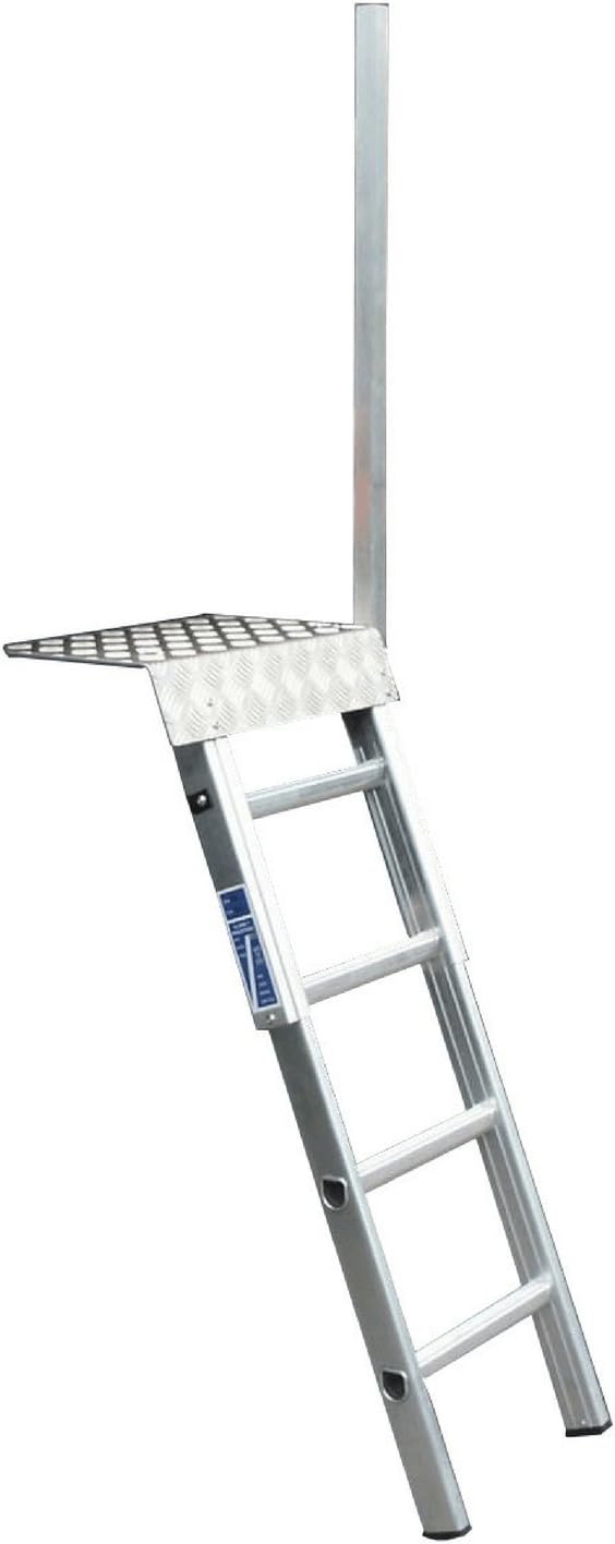 TB Davies Industrial 5 Rung Cargo Step Ladder for Lorry Access: Amazon ...