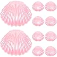 Amazon.com | Amosfun 30Pcs Pink Seashell Candy Boxes - Mini Sea Shell ...