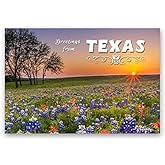 Amazon.com : TEXAS MAP postcard set of 20 identical postcards. TX state ...