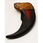 Amazon.com: Lot of 4 LARGE 3 inch Bulk Sythentic Grizzly Bear Claws