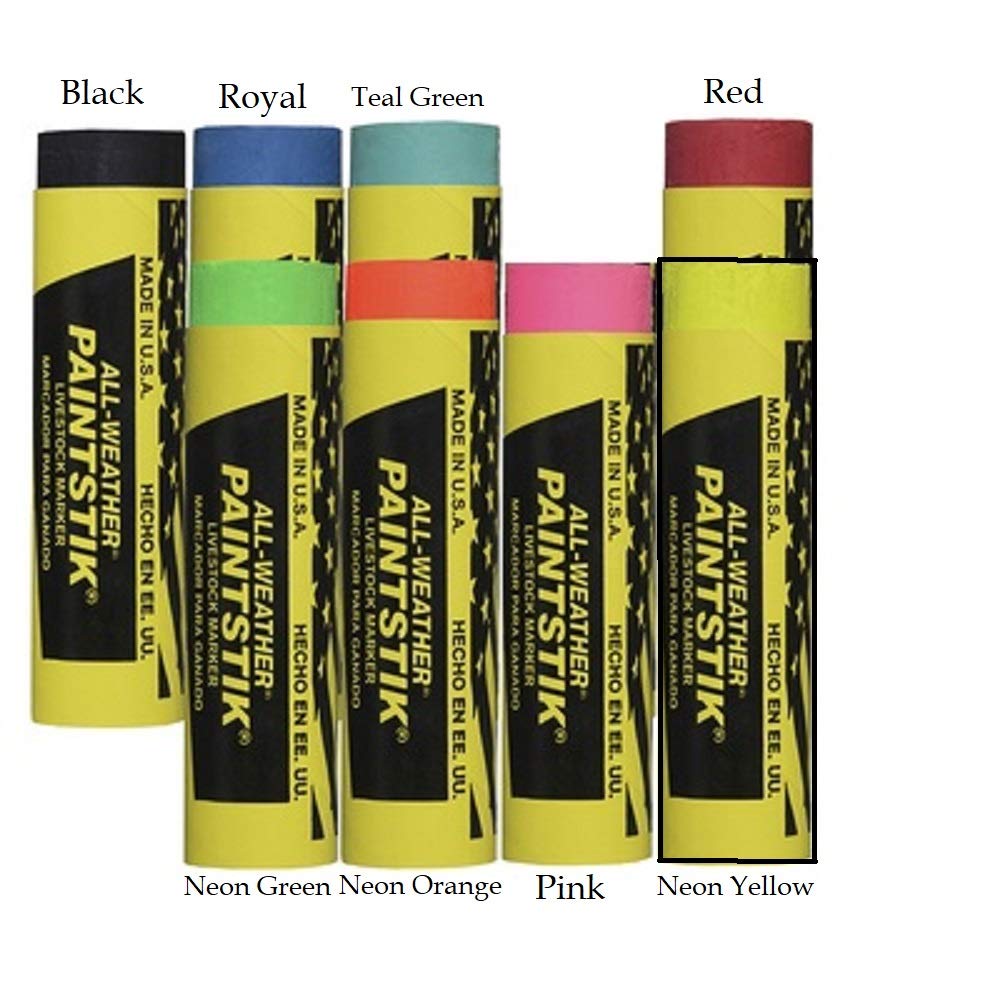 Amazon.com: All Weather Lot of Four ROYAL BLUE Horse Livestock ...