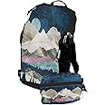 Amazon.com: ChicoBag Travel Pack rePETe Recycled Backpack w/Built-In ...