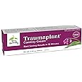 Amazon.com: Terry Naturally Traumaplant Comfrey Cream - Cream with Herbs -Travel Size Relief ...