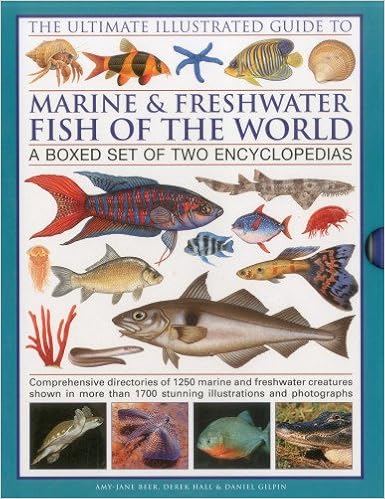 Beginner recommendations : r/Fish